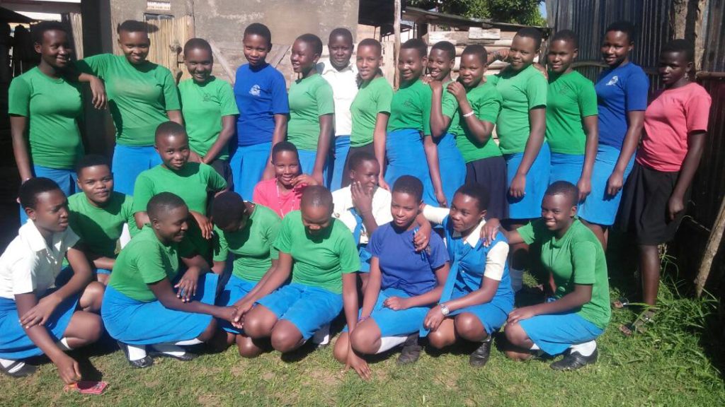 » Brilliant Primary School